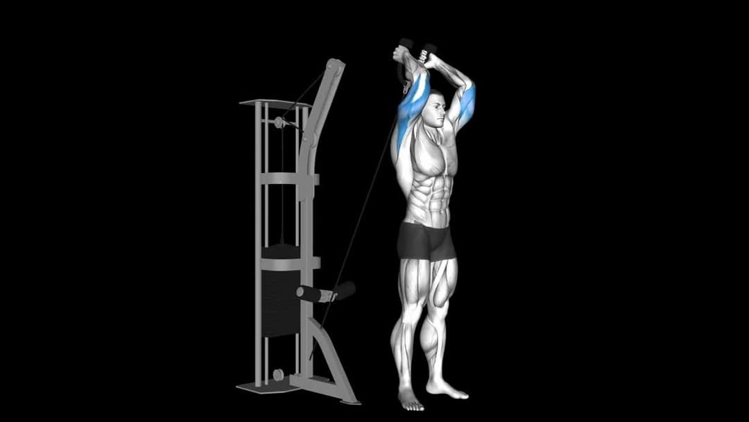 Overhead Rope Tricep Extension – How To Video, Alternatives & More