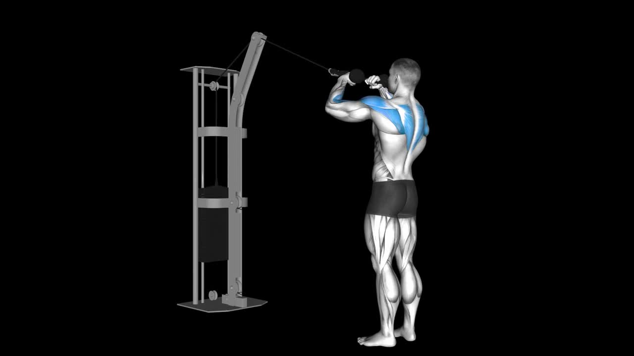 Rope Face Pull – How To Video, Alternatives & More