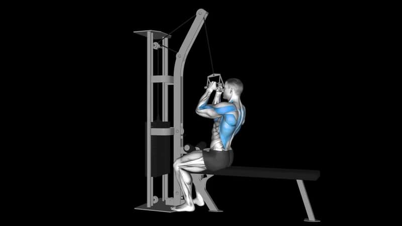 Cable Row – How To Video, Alternatives & More