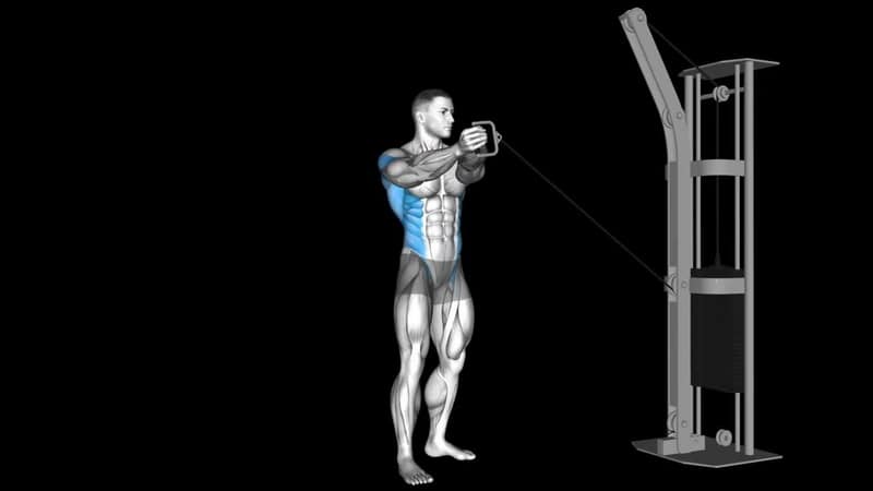 Cable Oblique Crunch – How To Video, Alternatives & More
