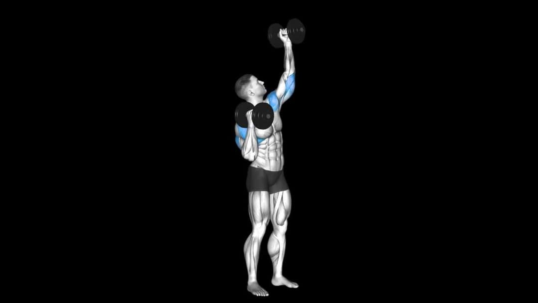 Shoulder Press Machine – How To Video, Alternatives & More