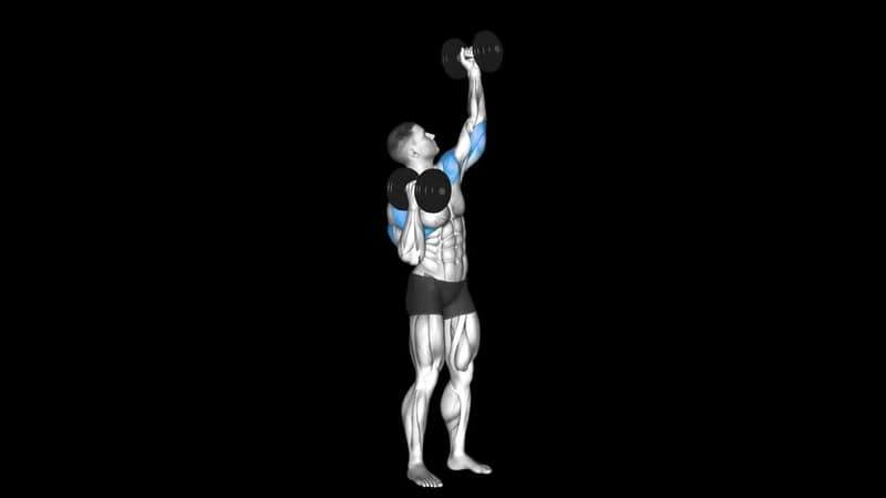 Dumbbell Shoulder Press – How To Video, Alternatives & More