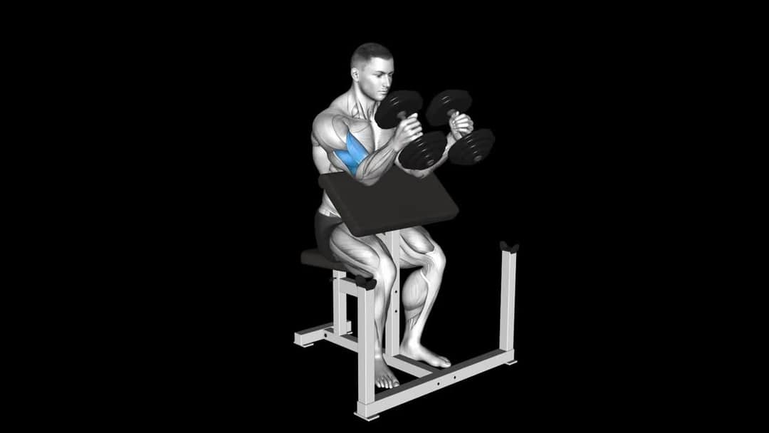 Seated Hammer Wrist Curl – How To Video, Alternatives & More