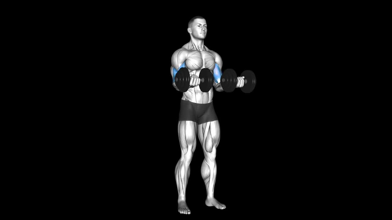 Cable Rope Curl – How To Video, Alternatives & More