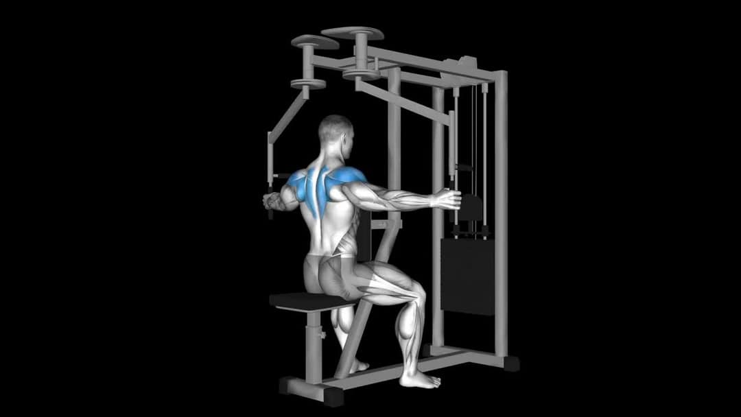 Reverse Push Up – How To Video, Alternatives & More