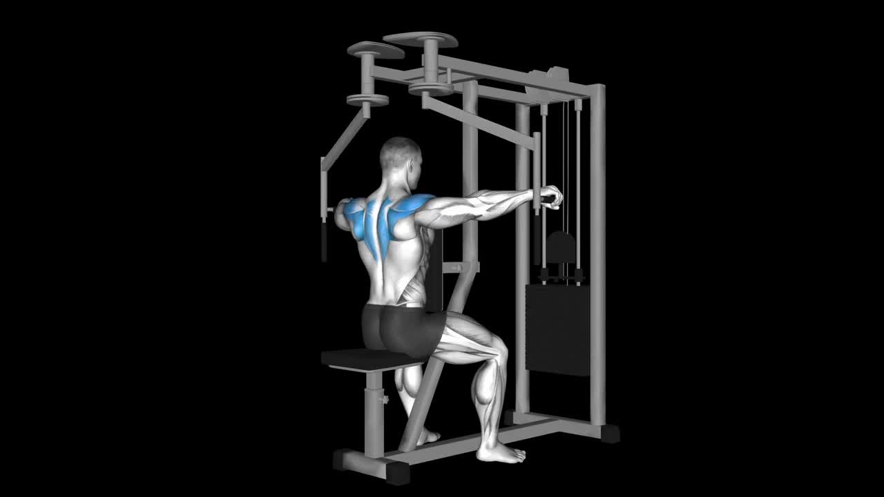 Reverse Fly Machine With Overhand Grip – How To Video, Alternatives & More