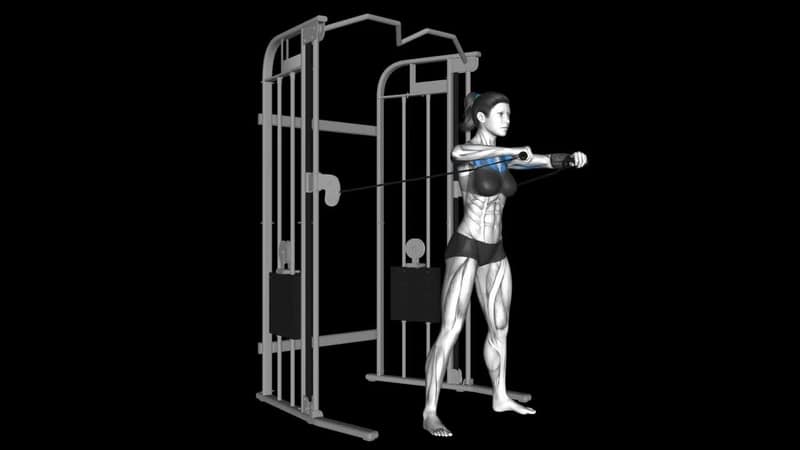 Cable Chest Press – How To Video, Alternatives & More