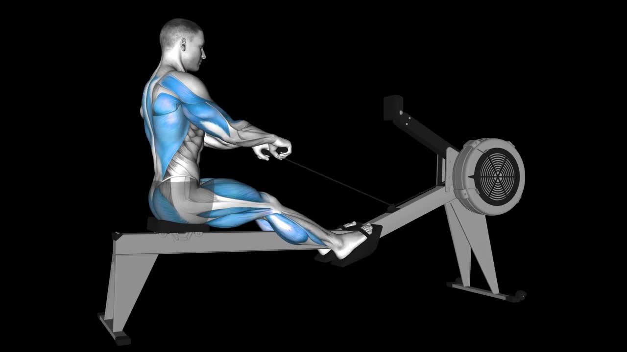 Back Extension Machine – How To Video, Alternatives & More