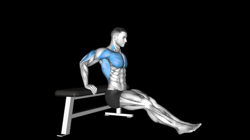 Assisted Dip – How To Video, Alternatives & More