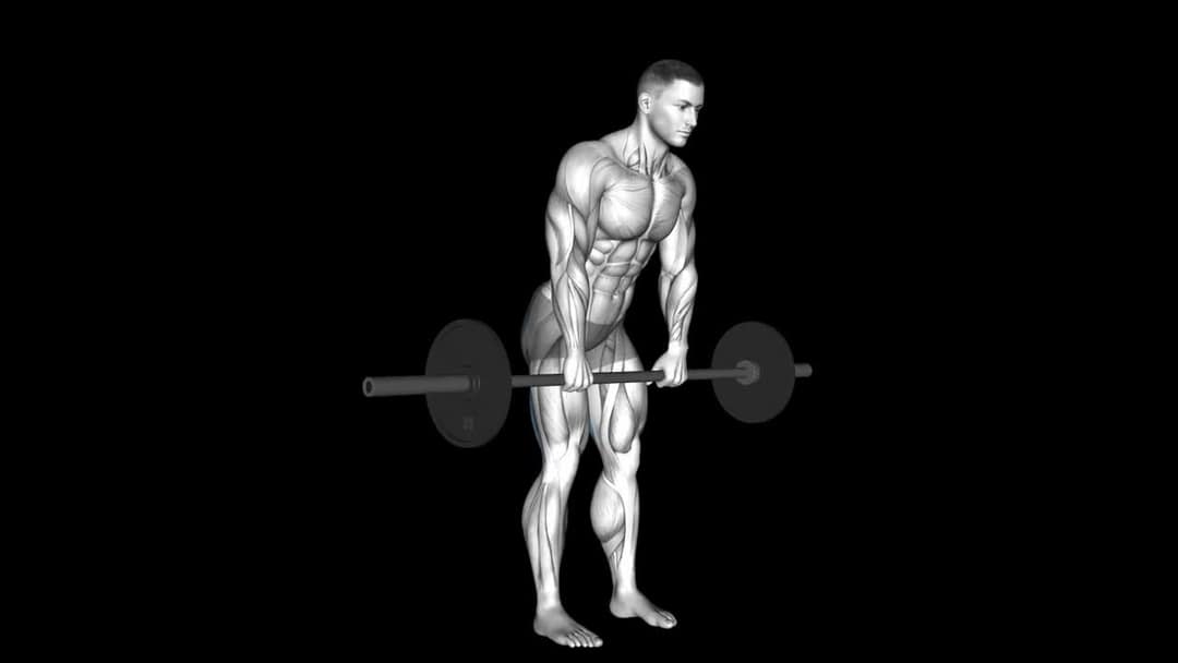 Cable Deadlift – How To Video, Alternatives & More
