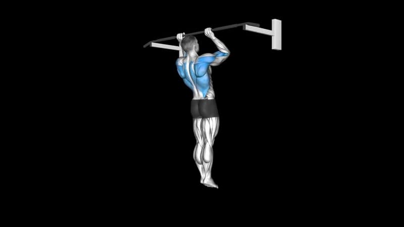 Narrow Grip Pull Up – How To Video, Alternatives & More