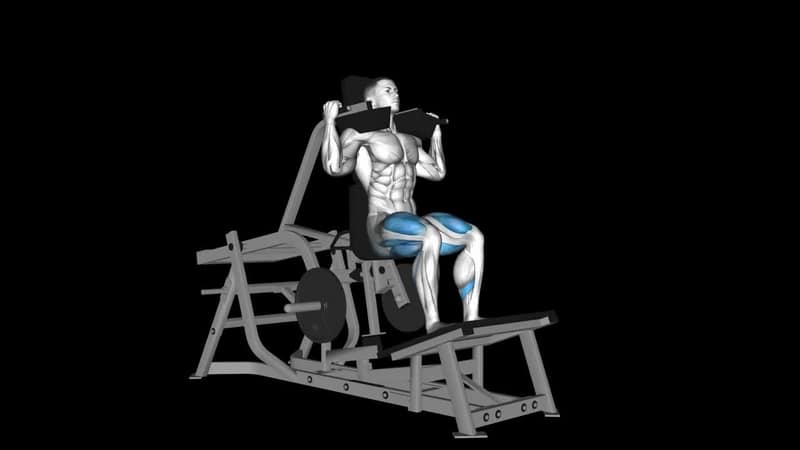 Hack Squat Machine – How To Video, Alternatives & More