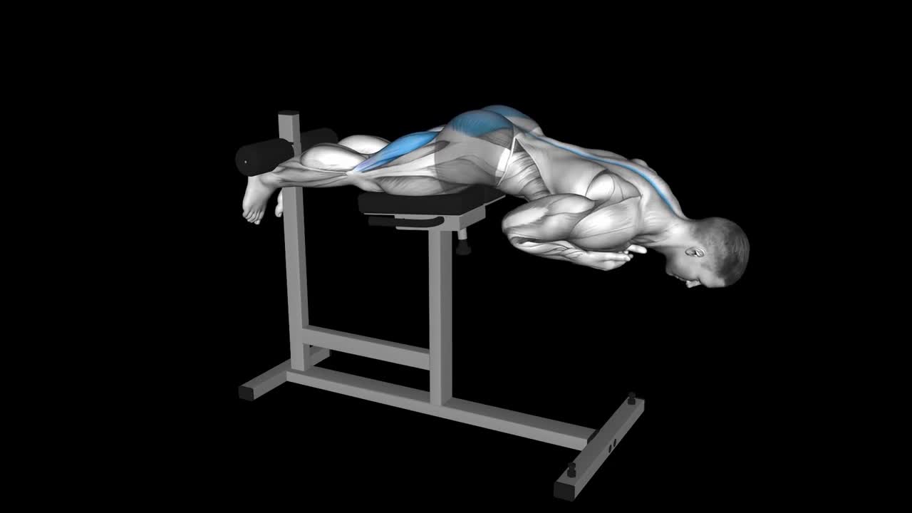 Back Extension Machine – How To Video, Alternatives & More