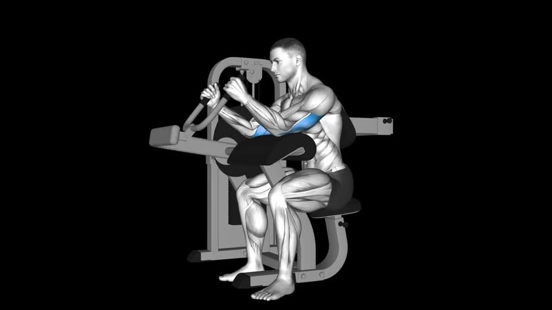 Tricep Extension Machine – How To Video, Alternatives & More