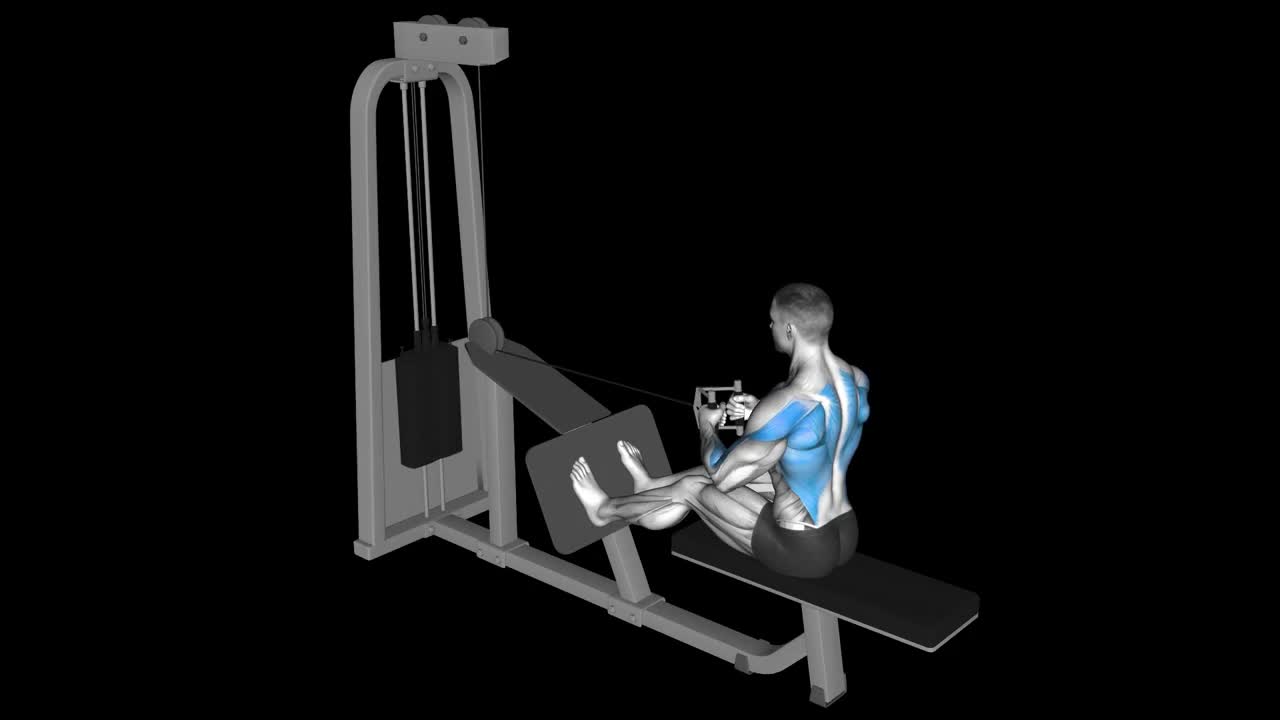 One Arm Cable Seated Row – How To Video, Alternatives & More