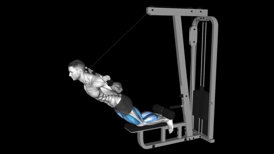 Cable Assisted Nordic Leg Curl – How To Video, Alternatives & More
