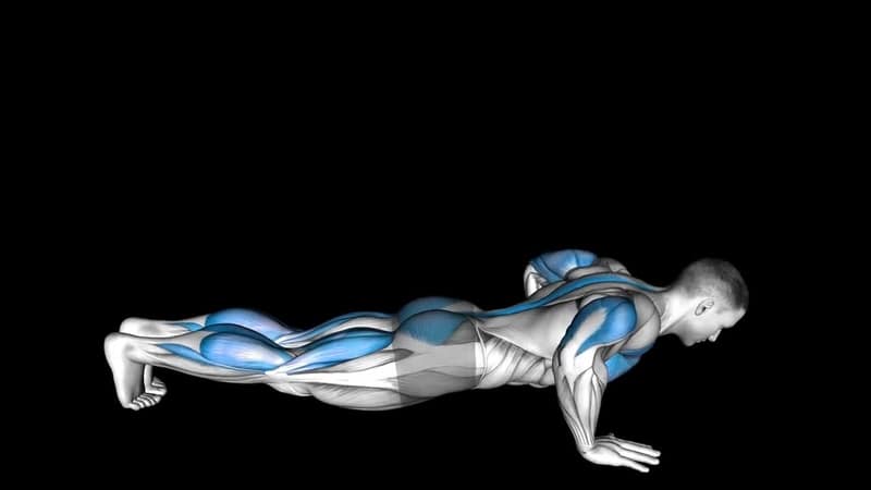 Forearm Push Up – How To Video, Alternatives & More