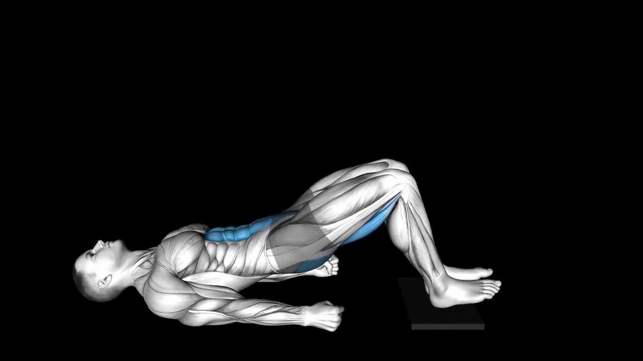 Sliding Floor Bridge Curl – How To Video, Alternatives & More