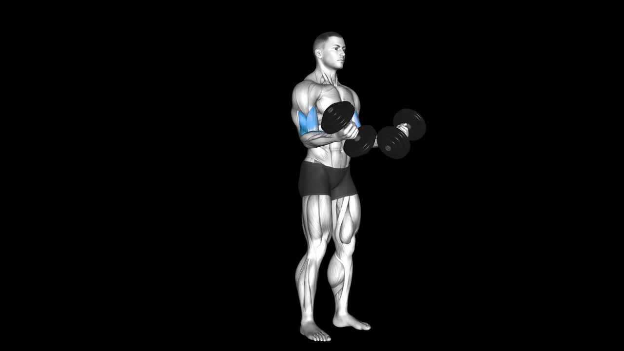 Hammer Curl – How To Video, Alternatives & More