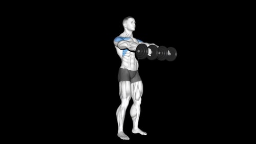 Incline Dumbbell Front Raise – How To Video, Alternatives & More