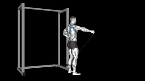 Seated Rear Lateral Raise – How To Video, Alternatives & More