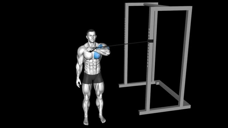 Band Chest Fly – How To Video, Alternatives & More