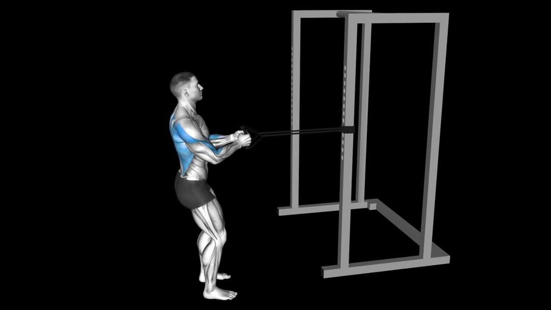 Close Grip Band High Row – How To Video, Alternatives & More