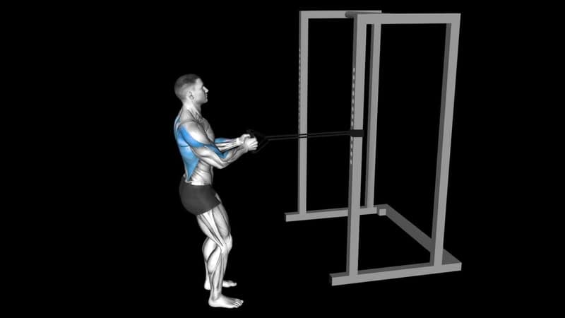Close Grip Lat Pulldown – How To Video, Alternatives & More