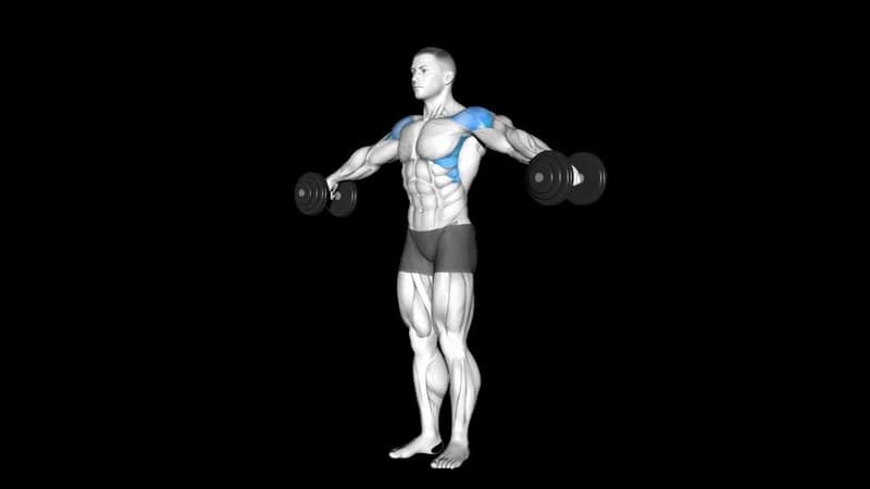 Seated Rear Lateral Raise – How To Video, Alternatives & More