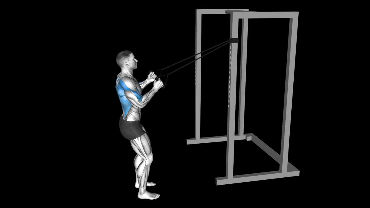 Band High Row – How To Video, Alternatives & More