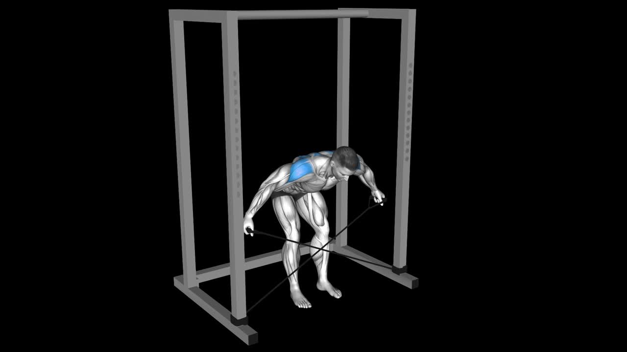 Band Reverse Fly – How To Video, Alternatives & More