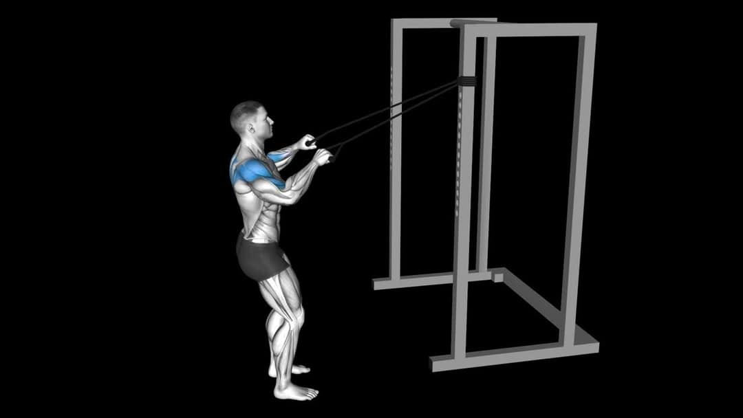 Close Grip Band Row – How To Video, Alternatives & More