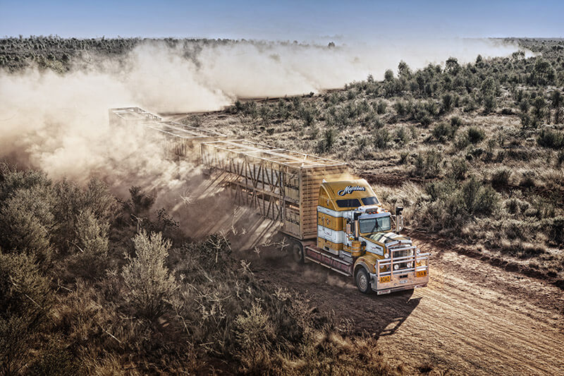 Our Vision - Martins Stock Haulage | The Martin Group