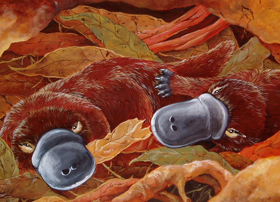Natural History | Andrew Plant – Illustrator