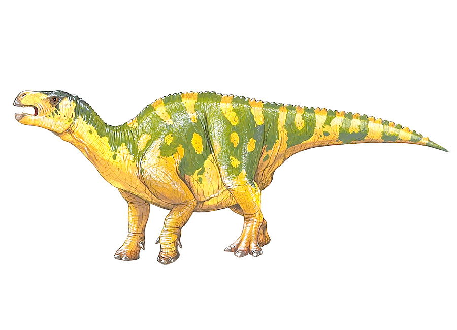 Prehistoric Life | Andrew Plant – Illustrator