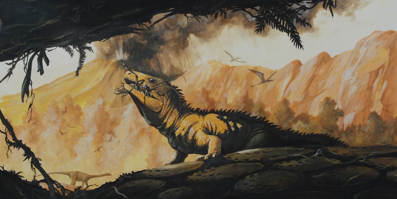 Original Artwork | Andrew Plant – Illustrator