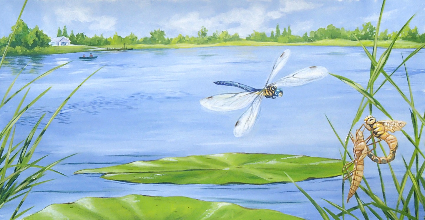 Original Artwork | Andrew Plant – Illustrator