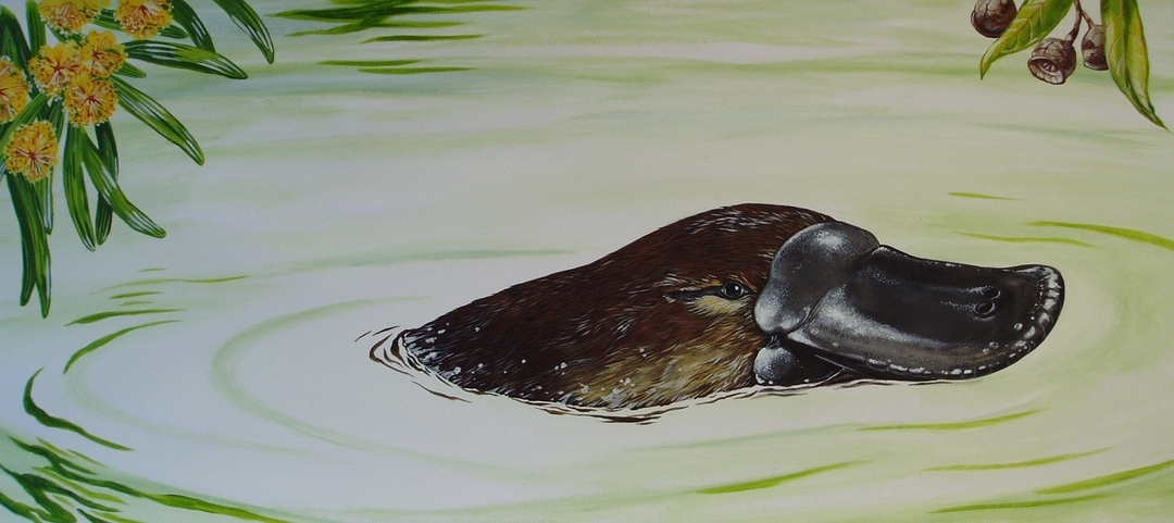 Home | Andrew Plant – Illustrator