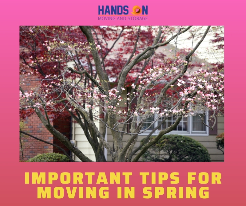 Important tips for moving in spring