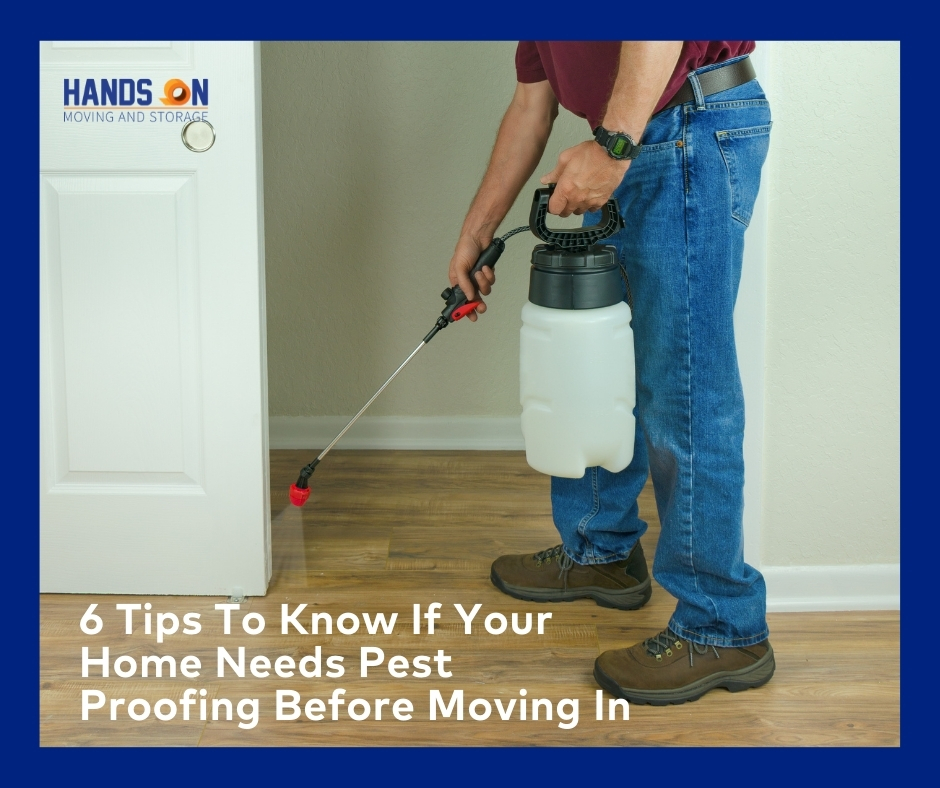 6 Tips To Know If Your Home Needs Pest Proofing Before Moving In