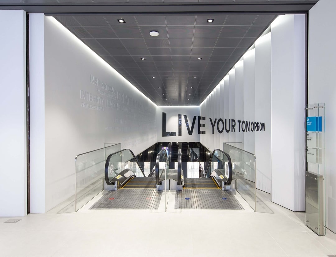 Project - 2014 D'light