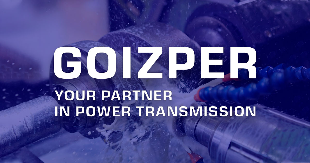 Goizper group