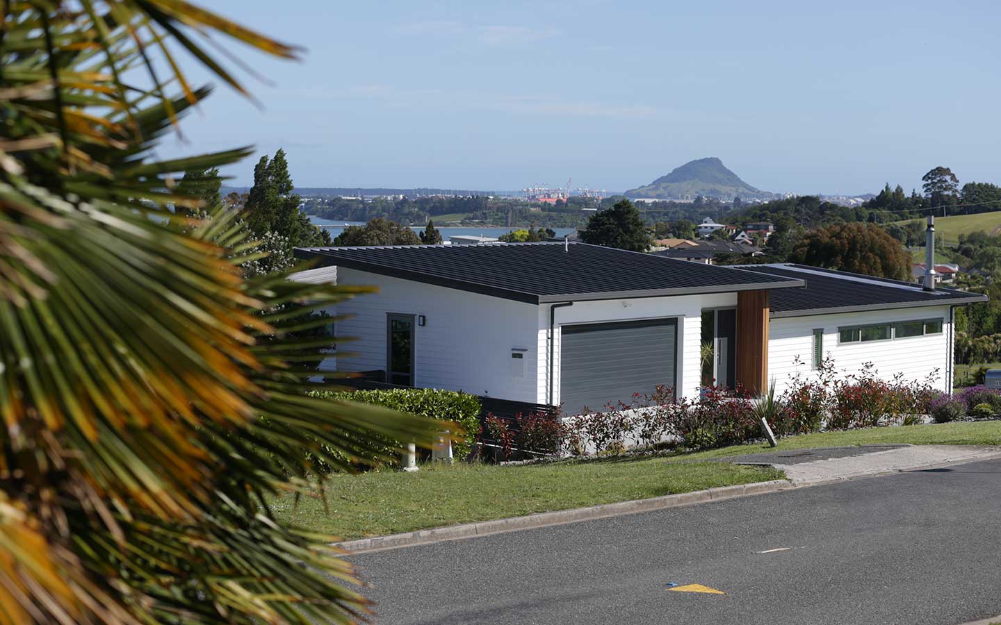 Patchell | Ambience Architecture | Architectural Designer Tauranga