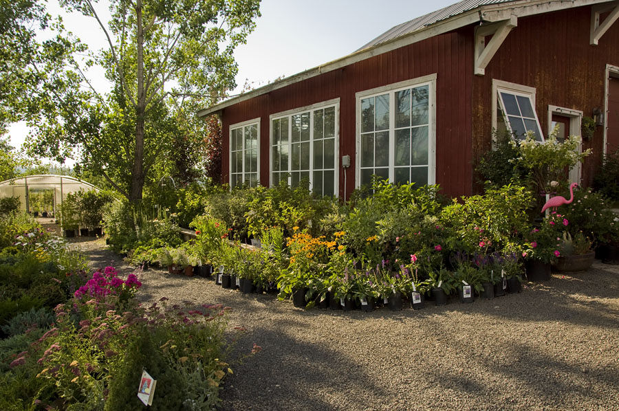 Franz Witte | Nursery & Landscape Design