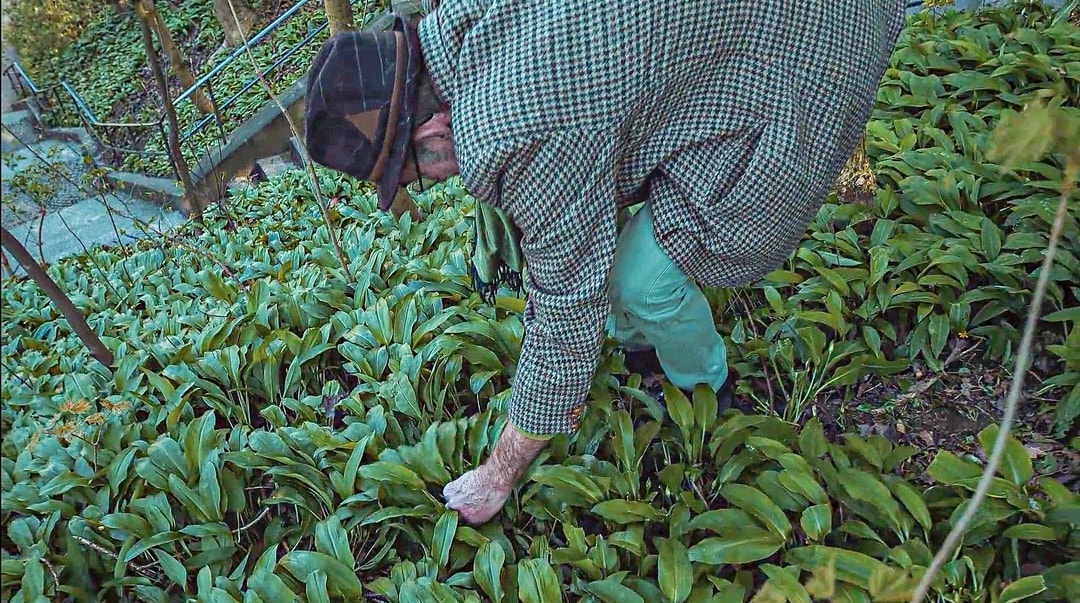 Meine Webseite über mich