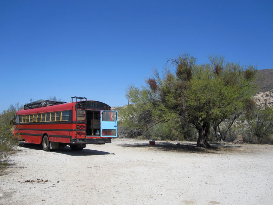 Ben's Garlic Bus - Allicins Ranch