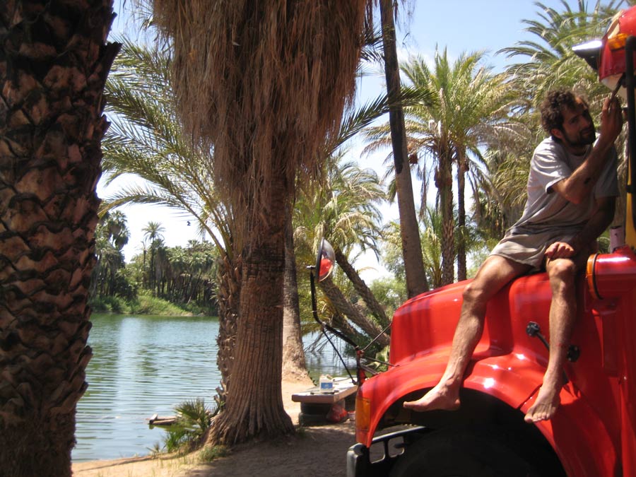 Ben's Garlic Bus - Allicins Ranch