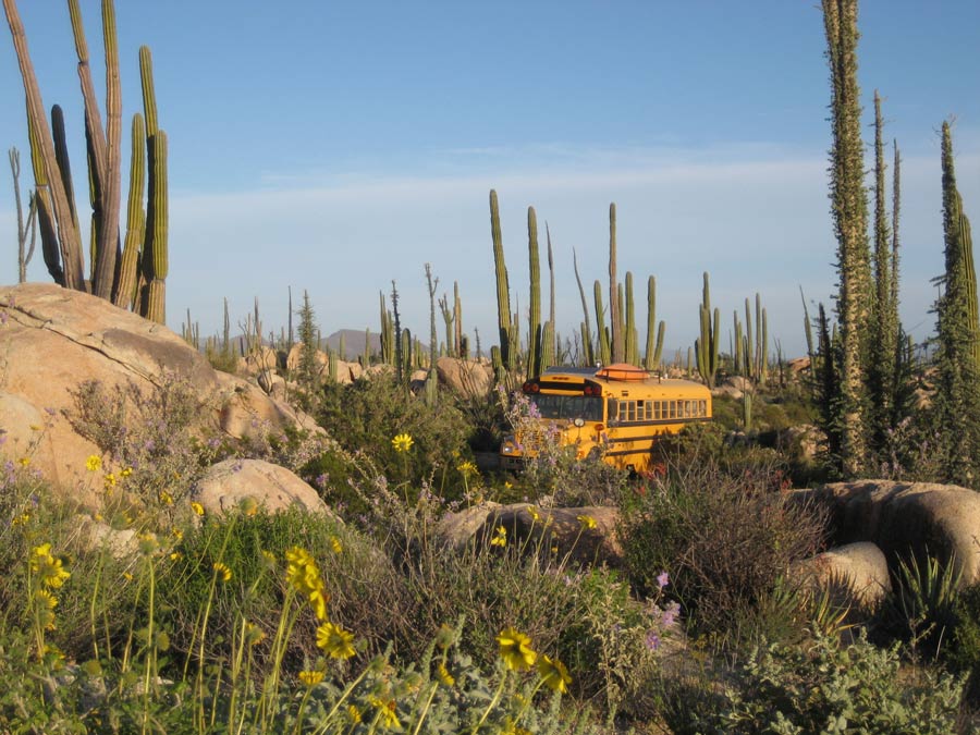 Ben's Garlic Bus - Allicins Ranch