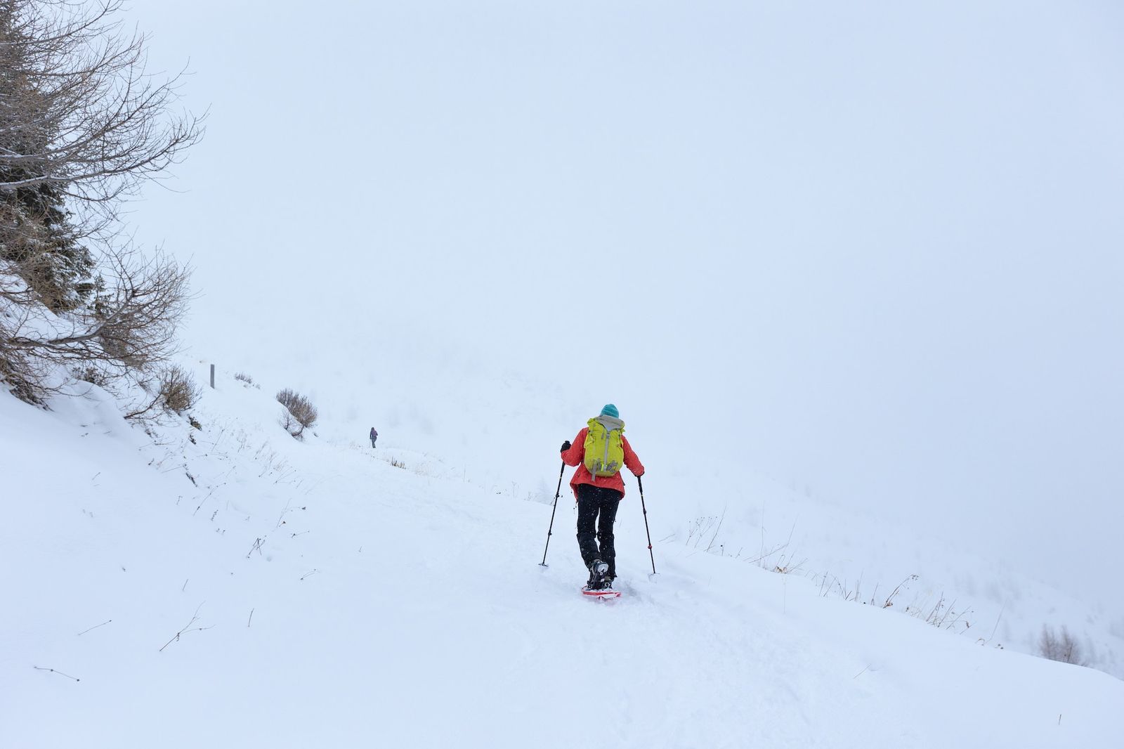 WearActive Blog - Snowshoe Hiking for the First Time