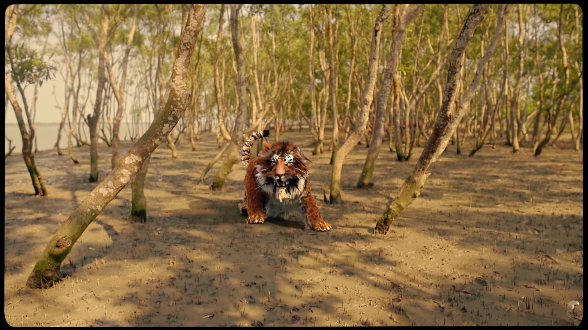 Jangal - Music Video